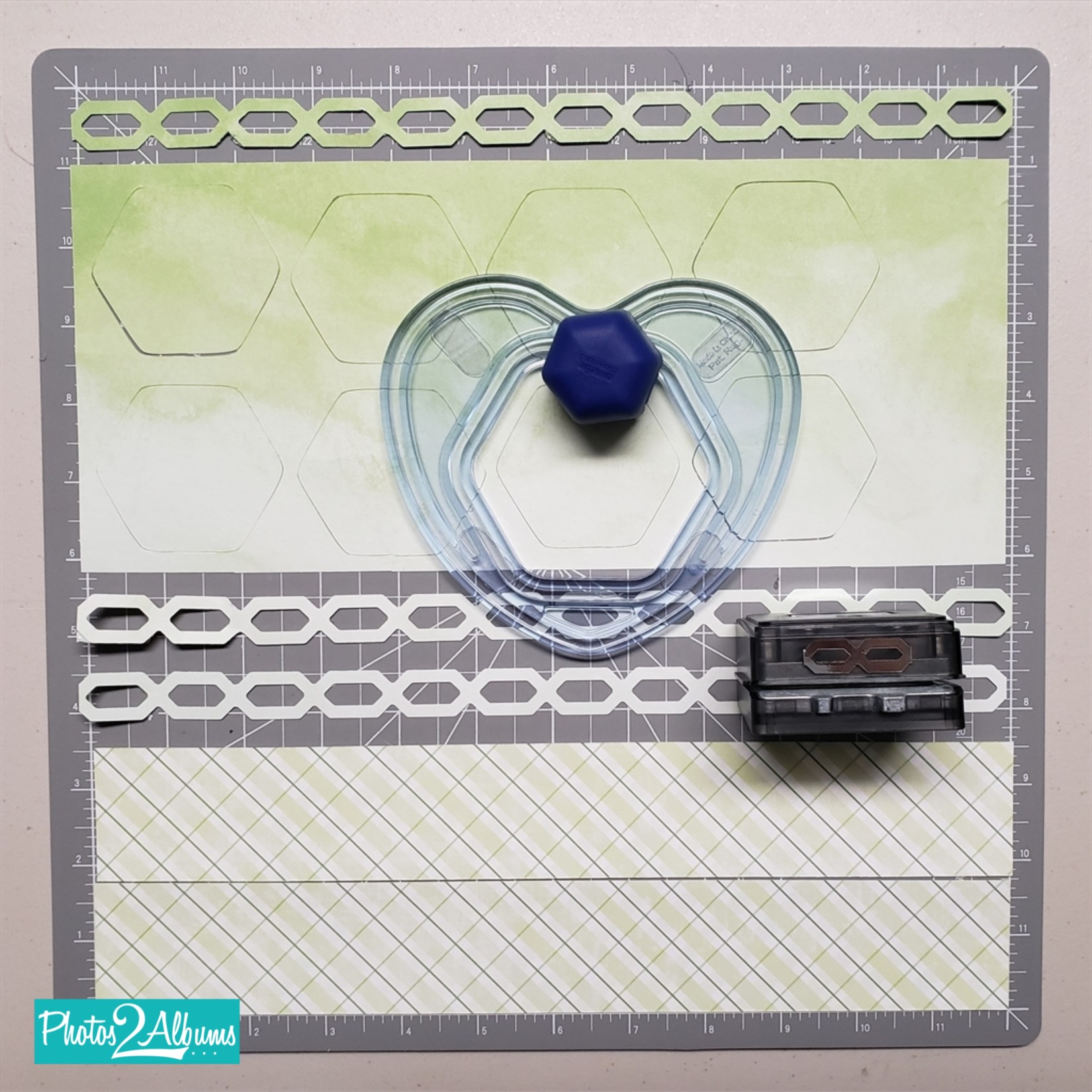 “The Lily Pad” – Happy Leap Day! – Tammy McEwen – Photos2Albums