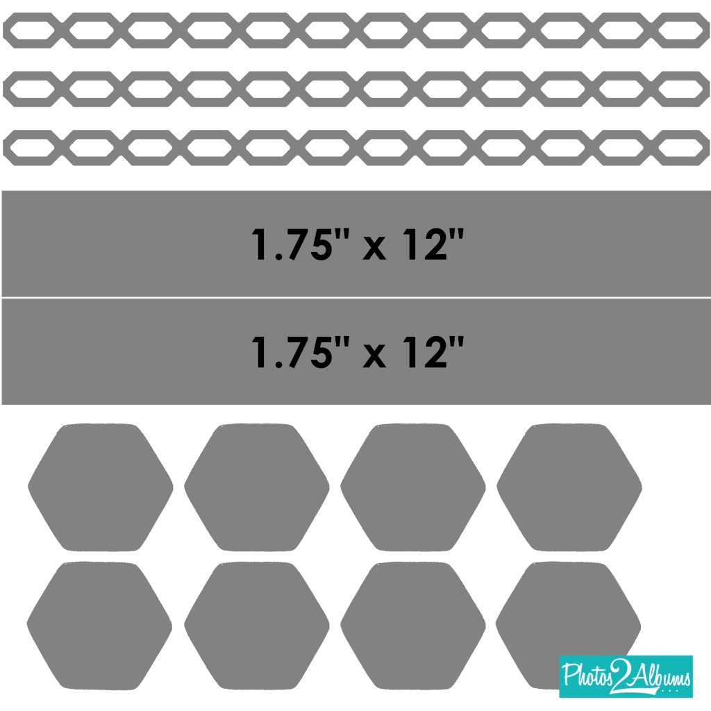 “The Lily Pad” – Happy Leap Day! – Tammy McEwen – Photos2Albums